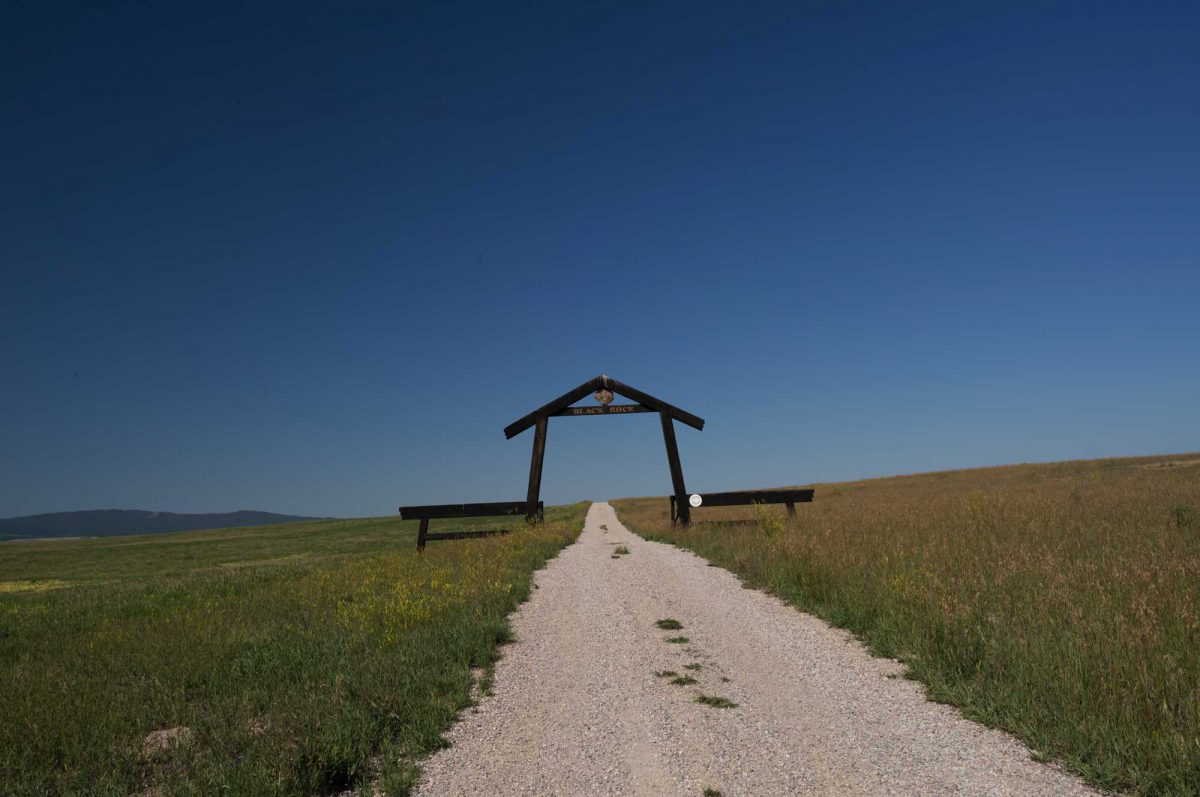 Robert Judelson – Reflections